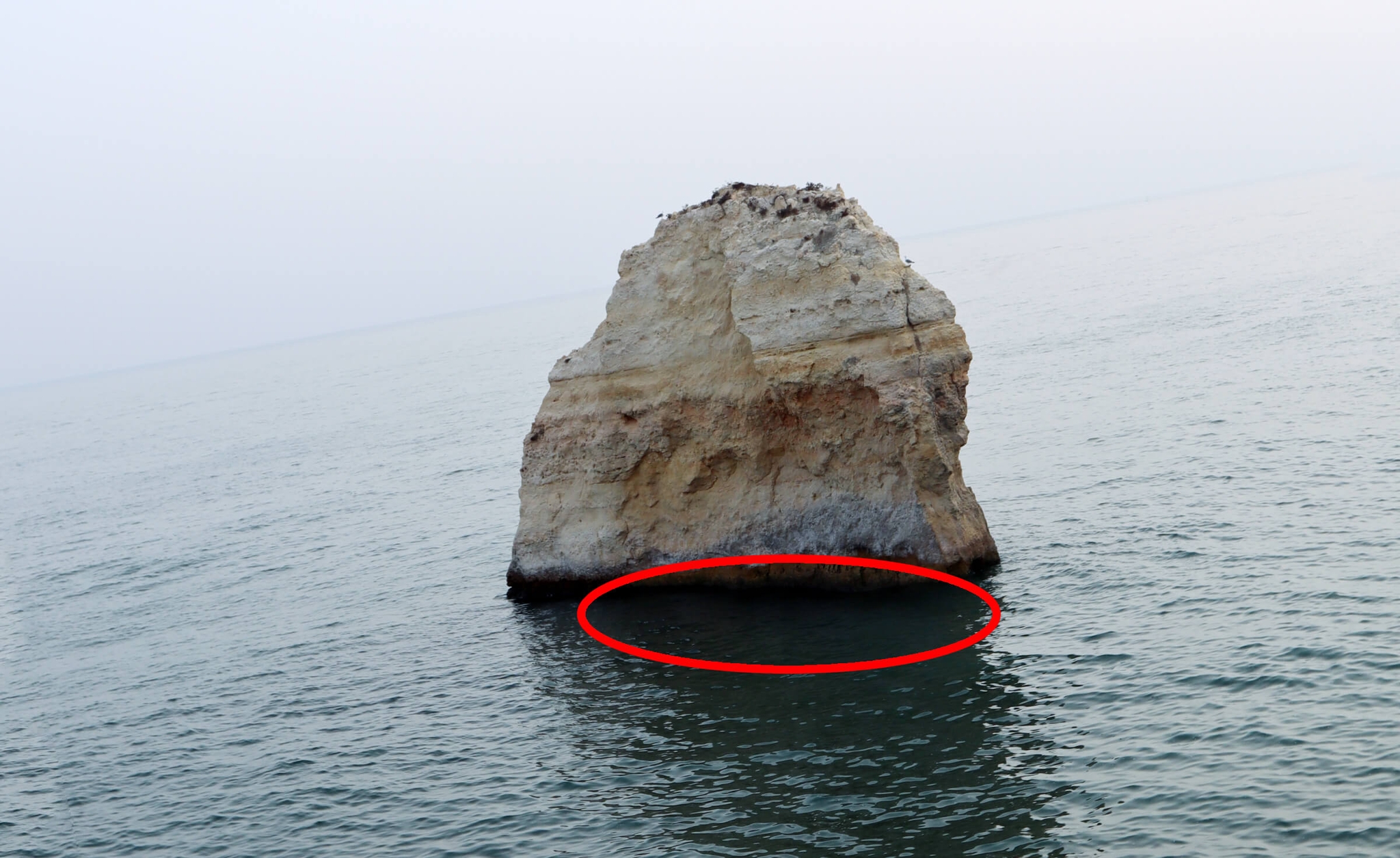 A guide to cliff diving in Benagil | pablo.gg